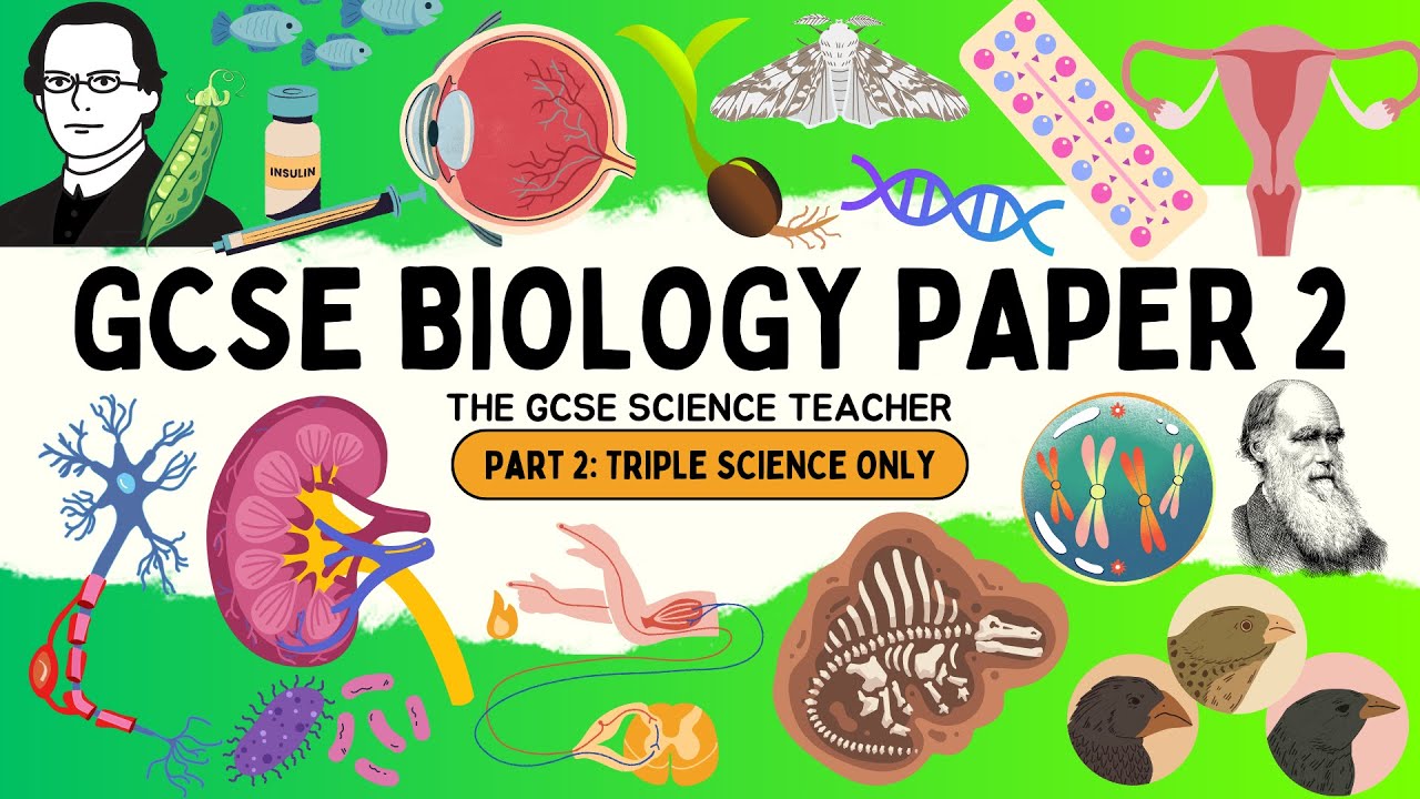ALL of GCSE Biology Paper 2 (TRIPLE SCIENCE) | The GCSE Science Teacher ...