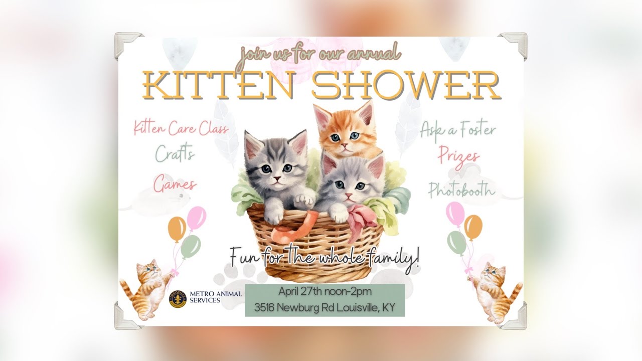 MAS Virtual Kitten Shower - YouTube