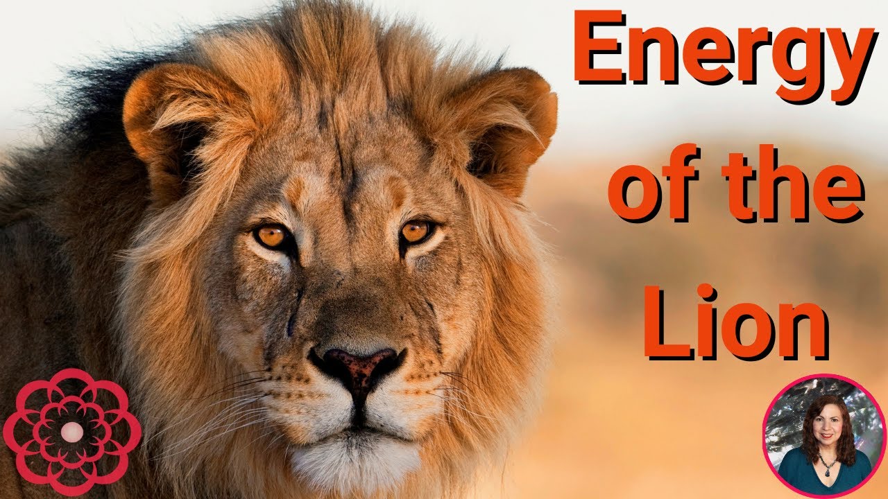 Energy of the Lion 🌸 - YouTube