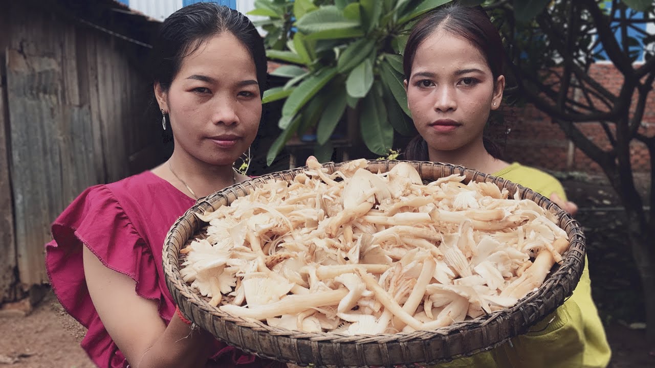 វិធីខផ្សិតកញ្ចូរ រសជាតិឆ្ងាញ់ - Cooking termite mushroom recipe - YouTube