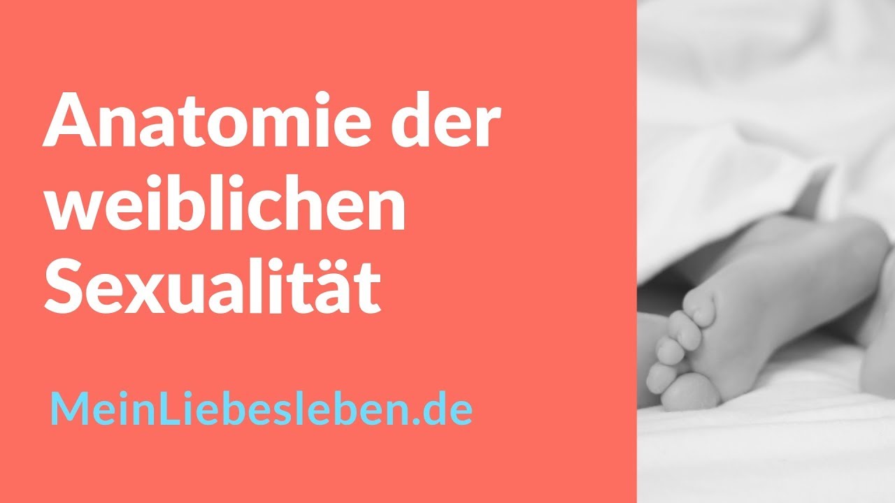 Anatomie Der Weiblichen Sexualität Workshop Youtube