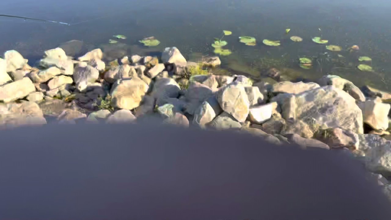 Wiper Fishing Kiser Lake - YouTube