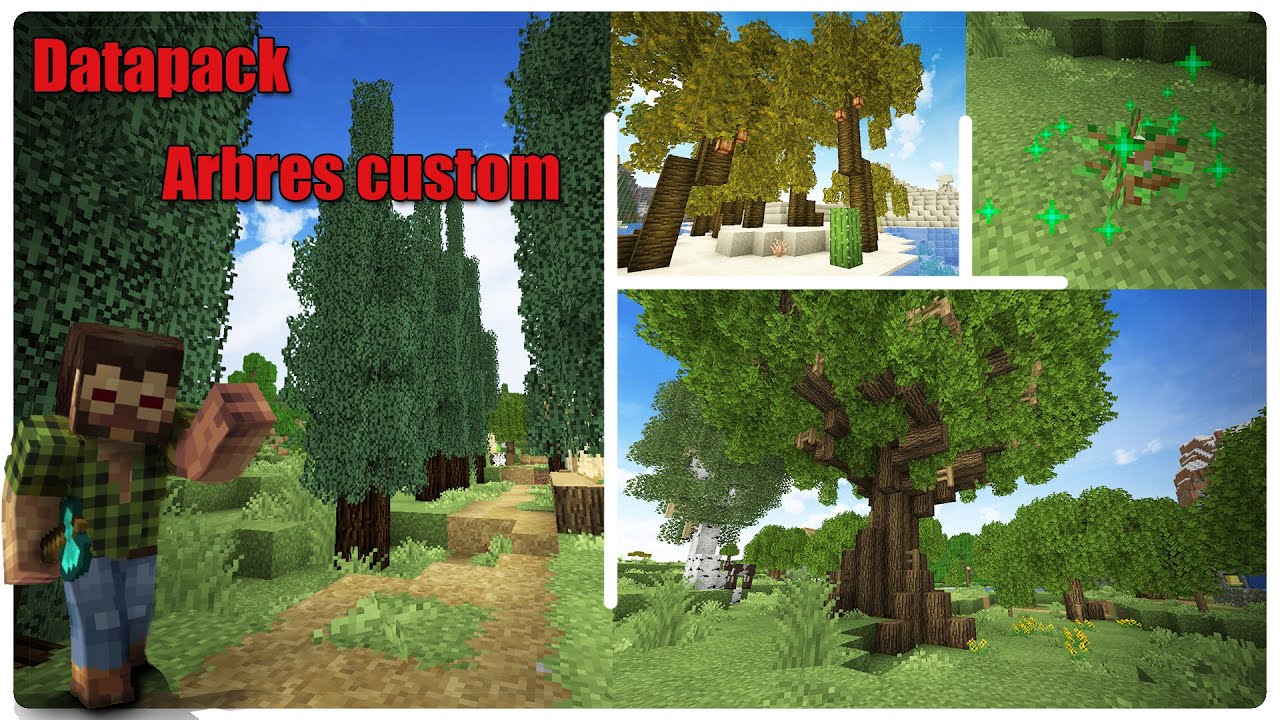 Minecraft Datapack: Faire pousser des arbres custom ! - YouTube