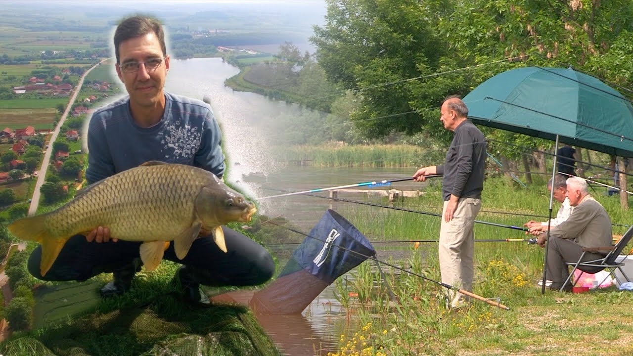 Pecanje na plovak i dubinsko pecanje šarana, bele ribe - Markovačko ...