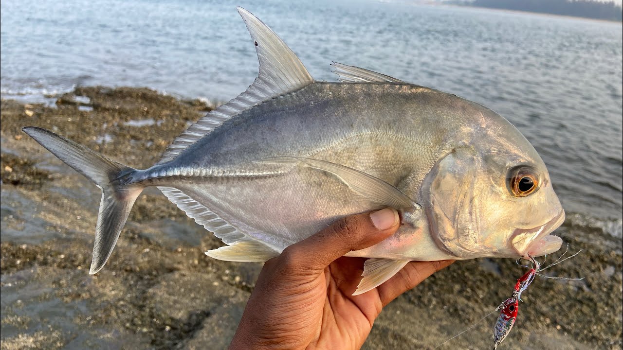 Shore jigging for Trevally , Goa fishing / India fishing - YouTube