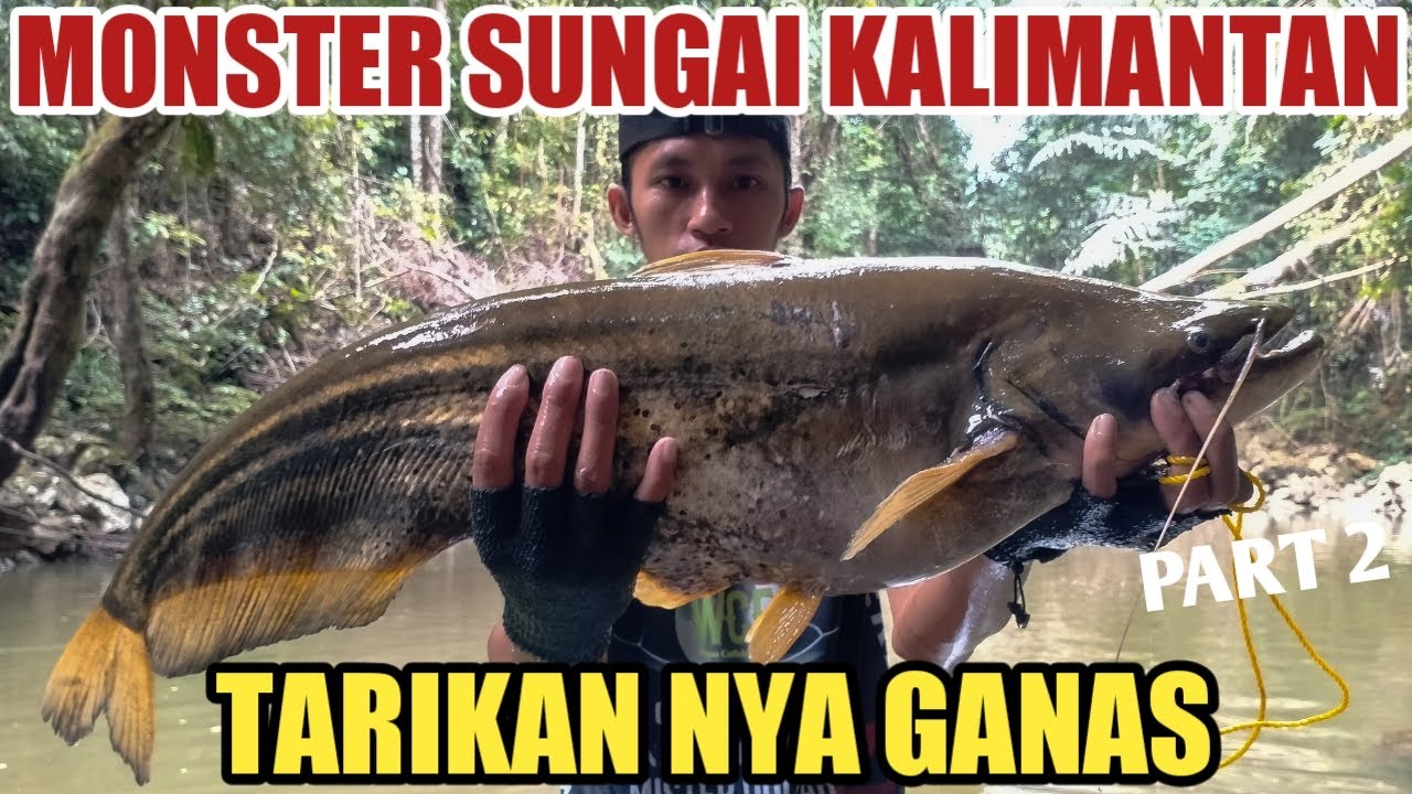 Terciduk Monster sungai Kalimantan - YouTube