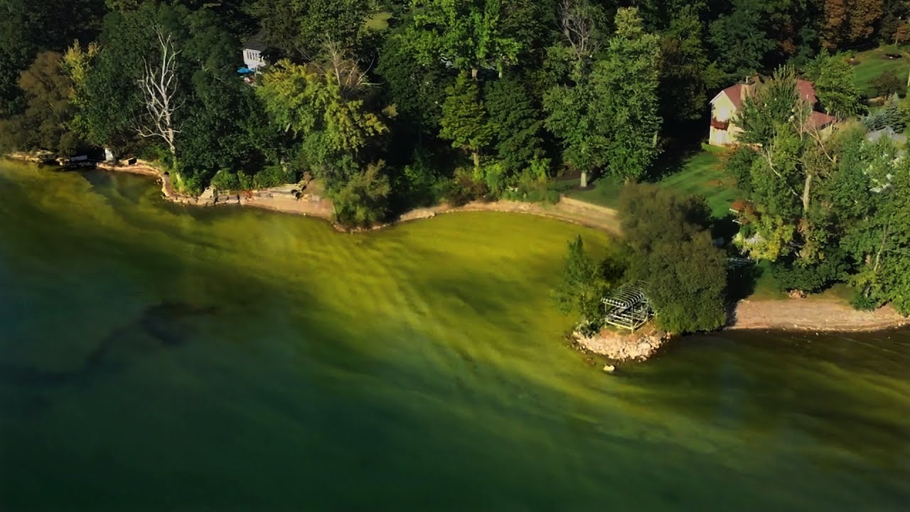 Toxic algae bloom in Skaneateles Lake - YouTube