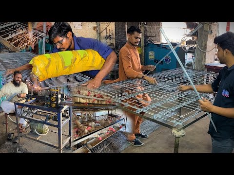 How To Make A Chicken Poultry Farm Cage || Mass Production Of Chicken ...