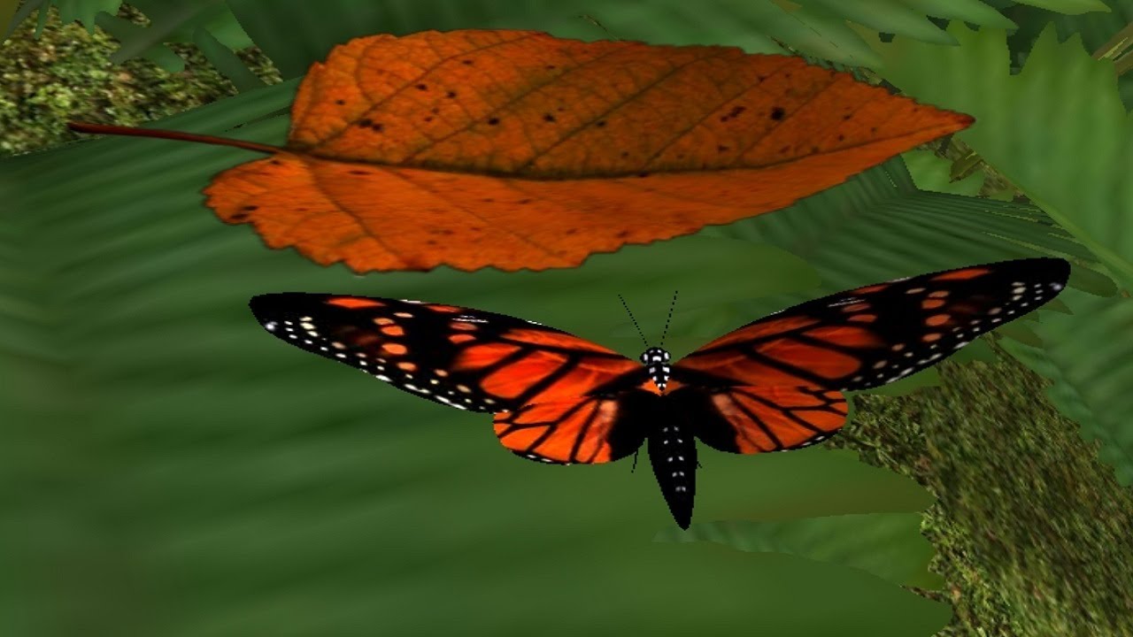 Butterfly Simulator Online - Collecting Leaves - Gameplay Part 1 - YouTube