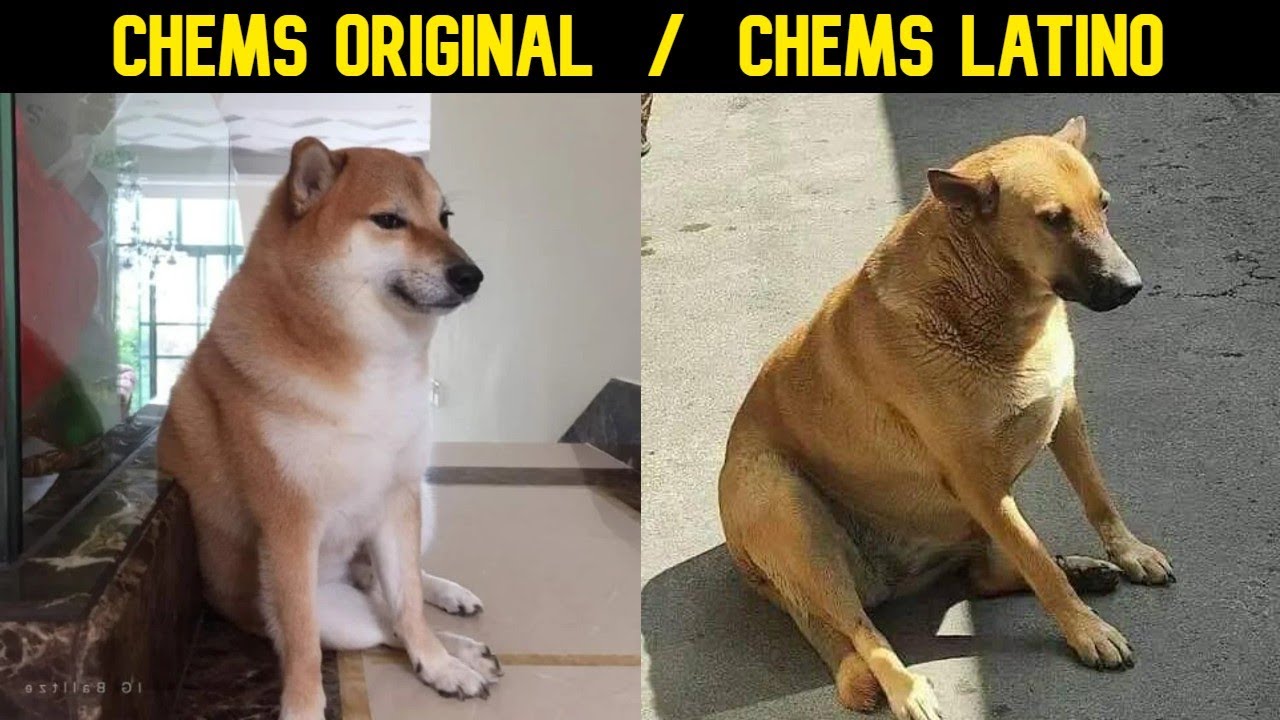 El Chems latino no exis... | RDDC #109 - YouTube