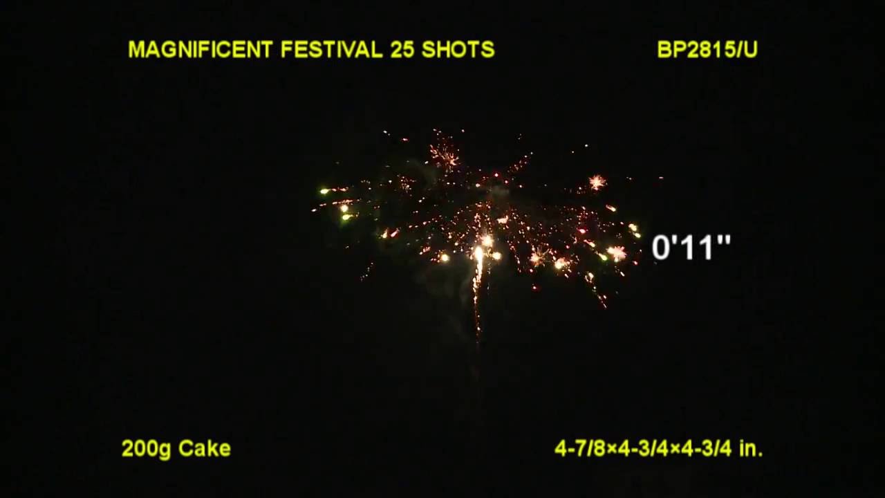 Magnificent Festival 25 Shot Firework - YouTube