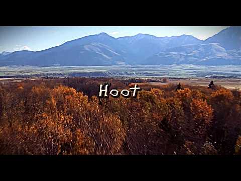 Hoot (2006)