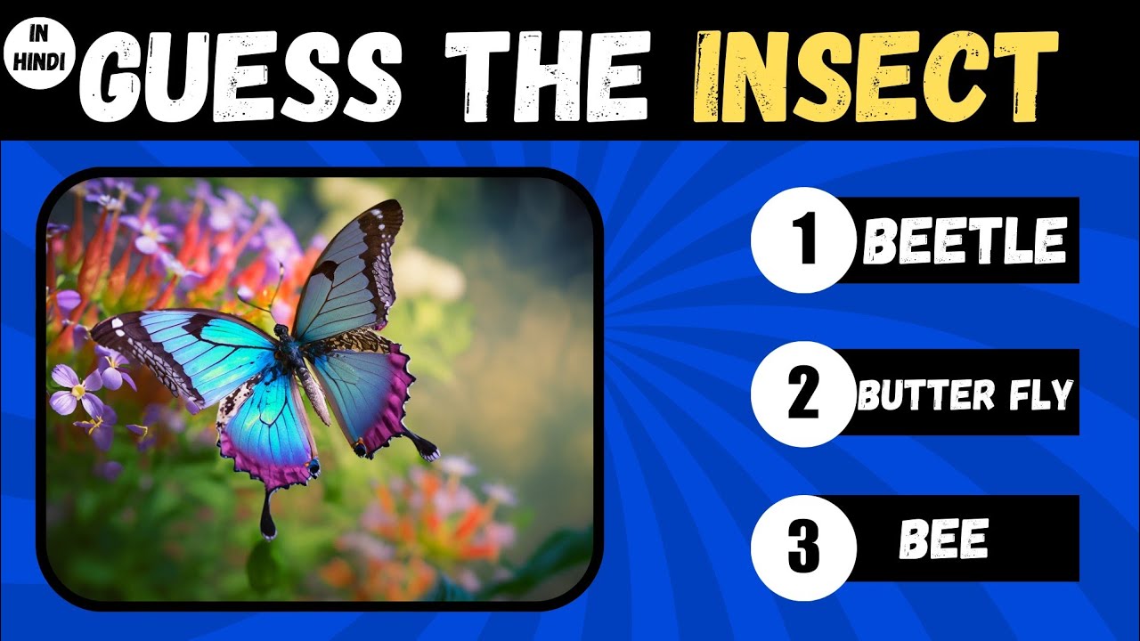Guess the insect |quiz in hindi - YouTube