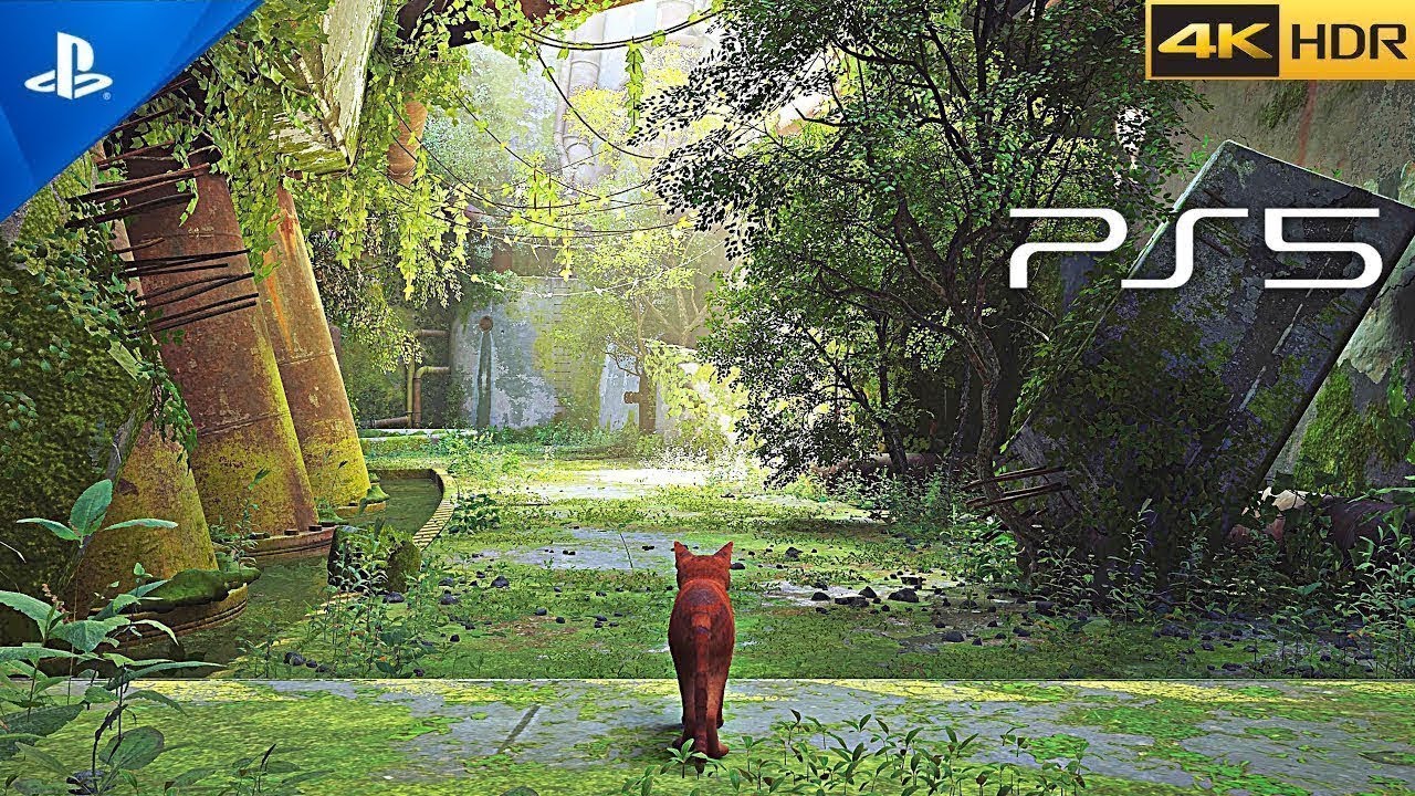 (PS5) Stray is simply the Cutest game ever... [4K HDR 60 FPS Gameplay ...