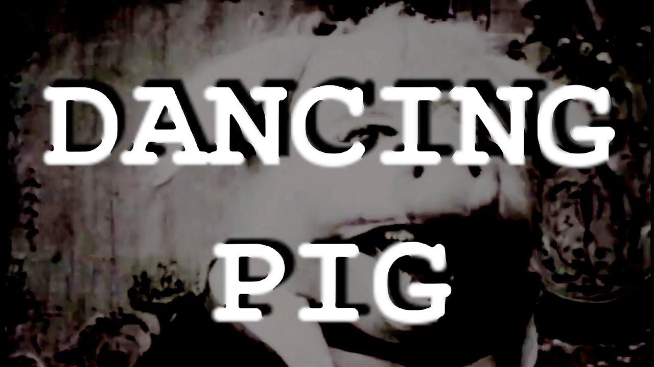 DANCING PIG : DEFINITIVE EDITION - YouTube