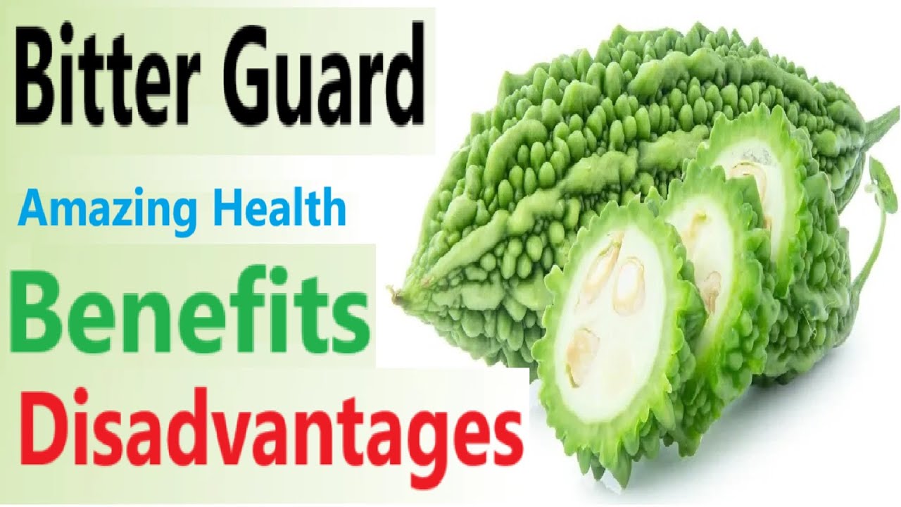 Bitter Guard Amazing Health Benefits and Disadvantages #health #food ...