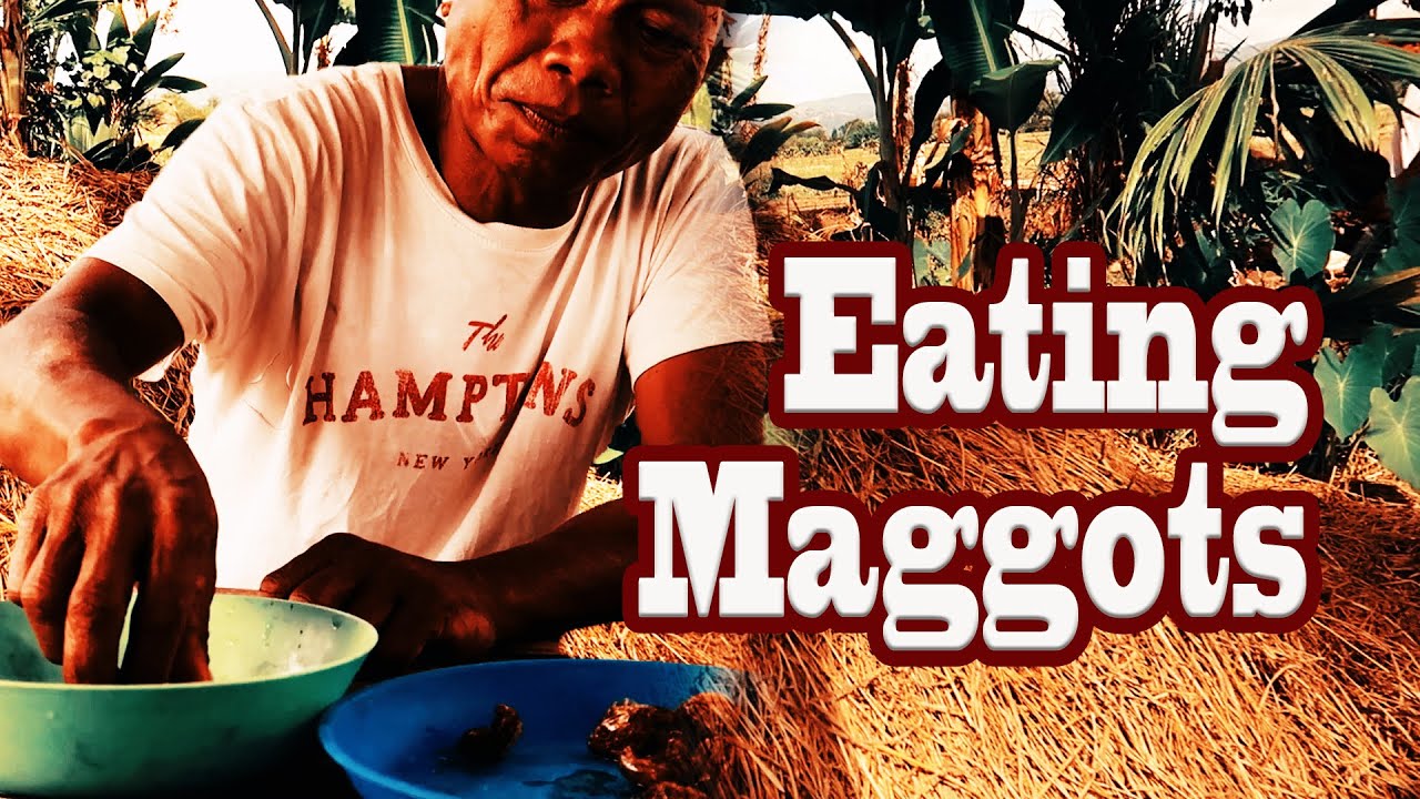 Maggots l Crispy Bagangan - YouTube