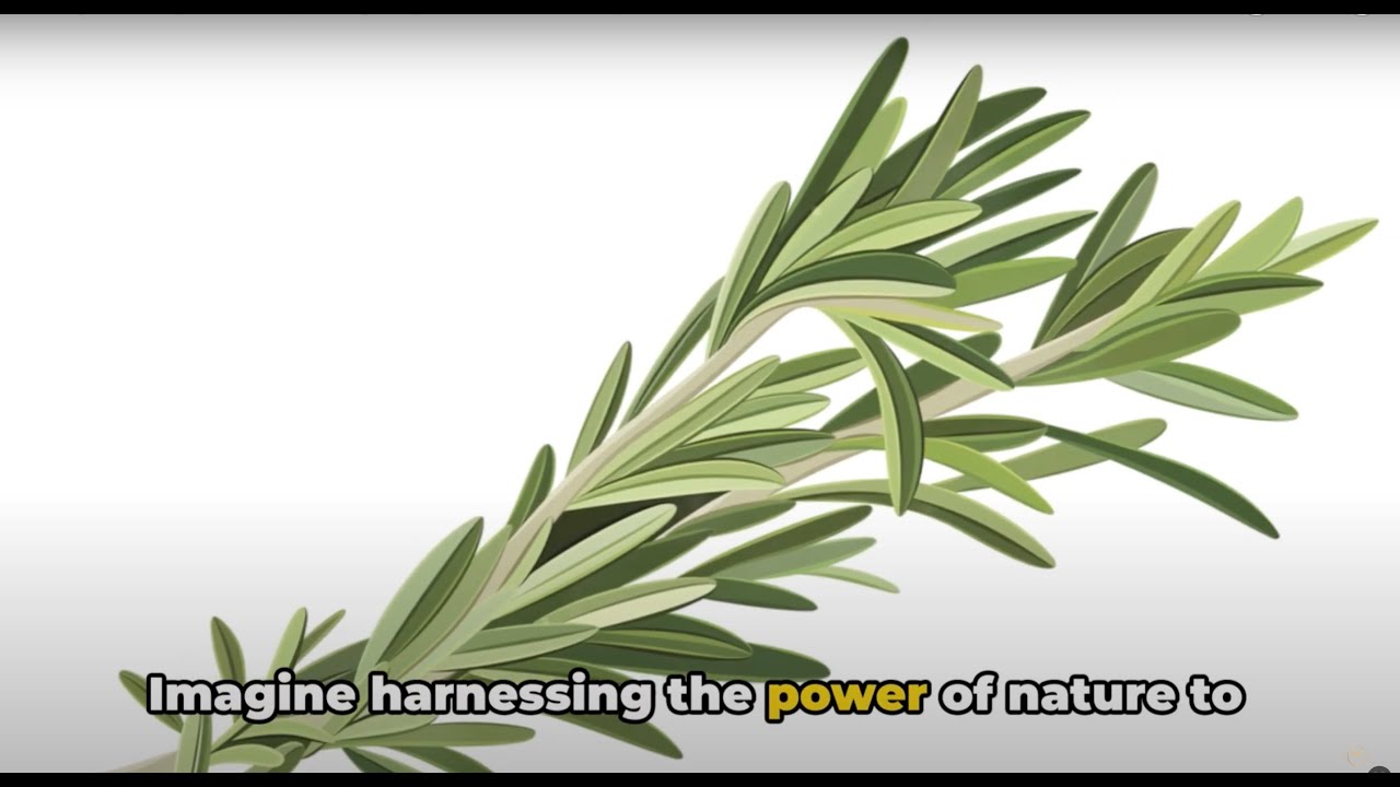 Boost Your Immunity A Herbal Guide || Clear your lungs and stop ...