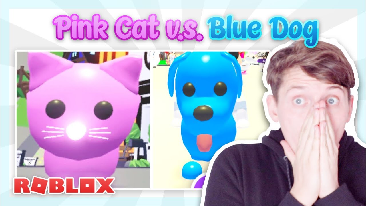 Which is better? Pink Cat or Blue Dog on Adopt Me *YOU VOTE* - Roblox # ...