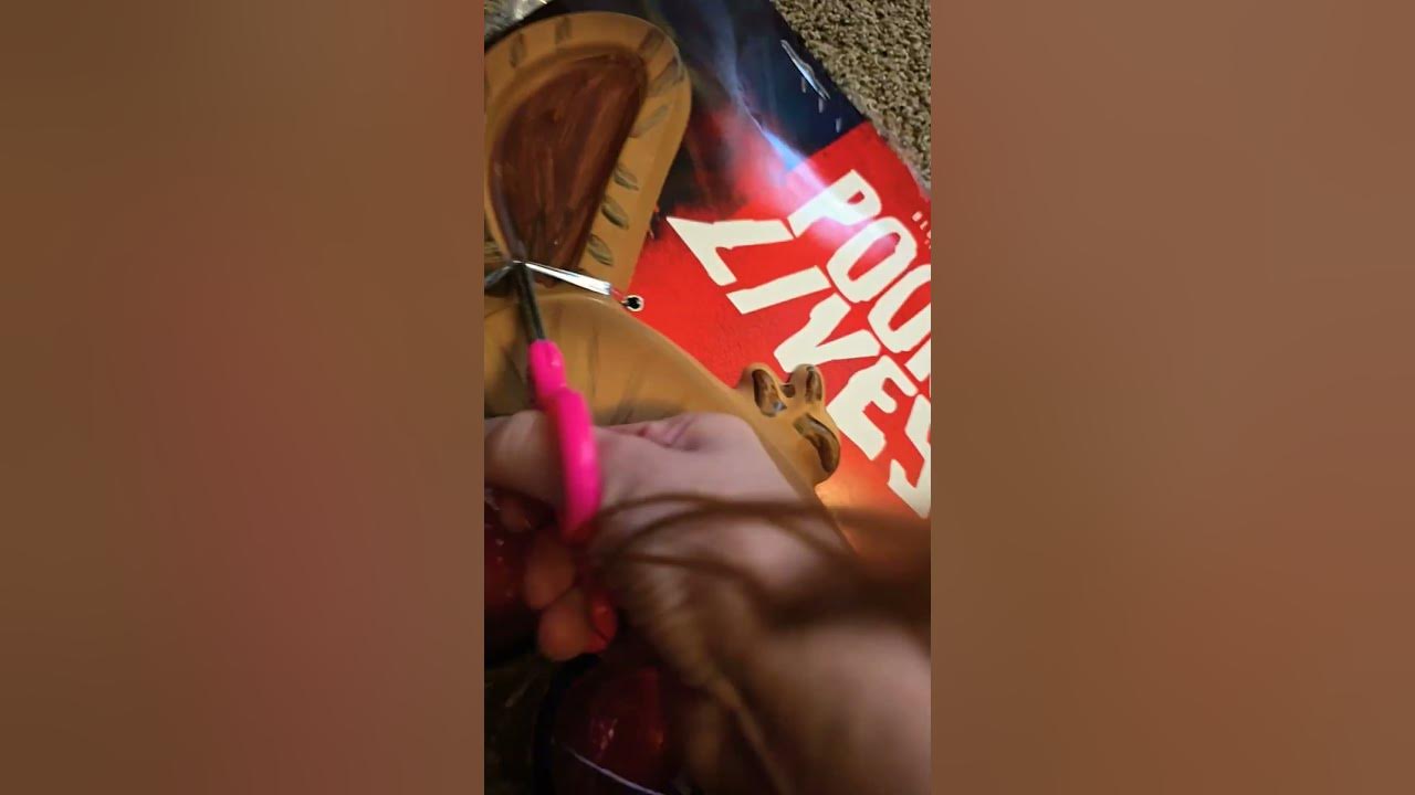 POOKA LIVES - YouTube