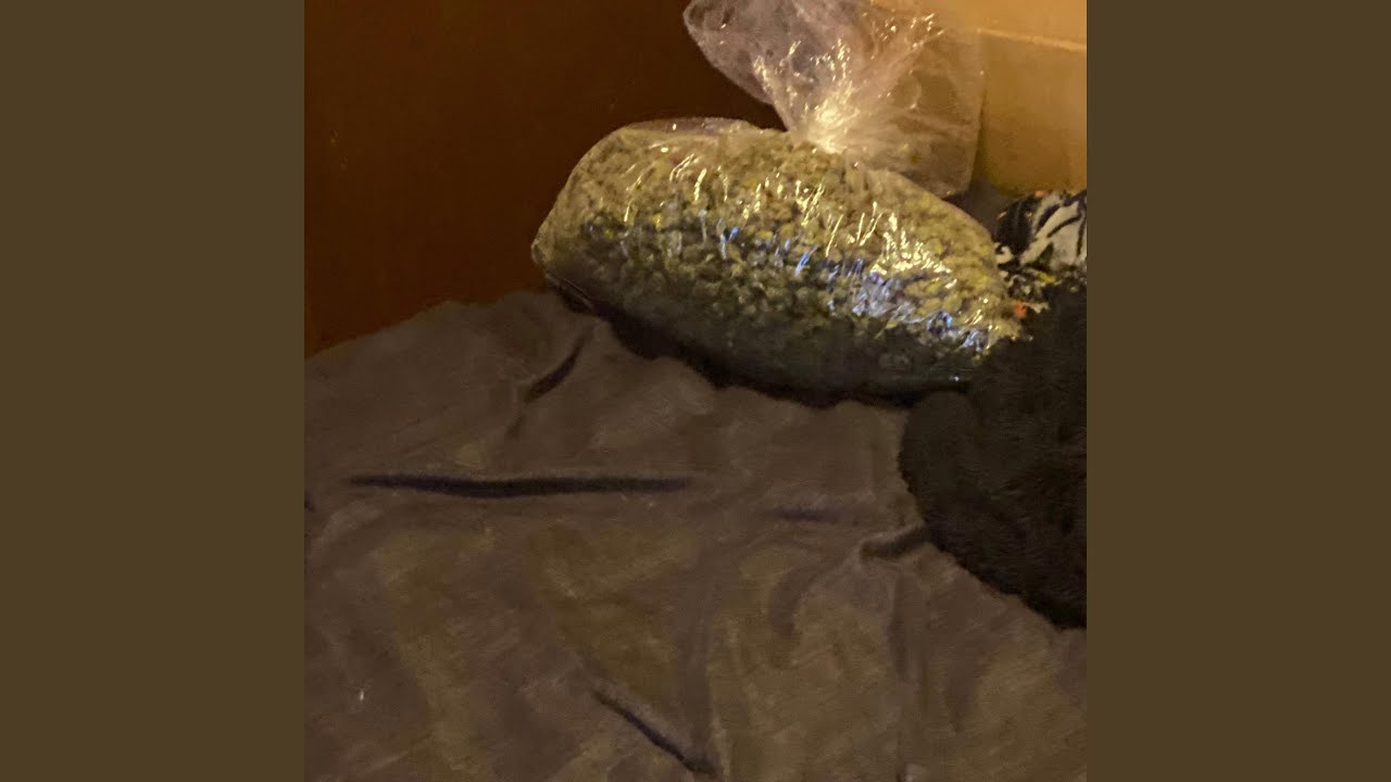 Exotic pounds - YouTube