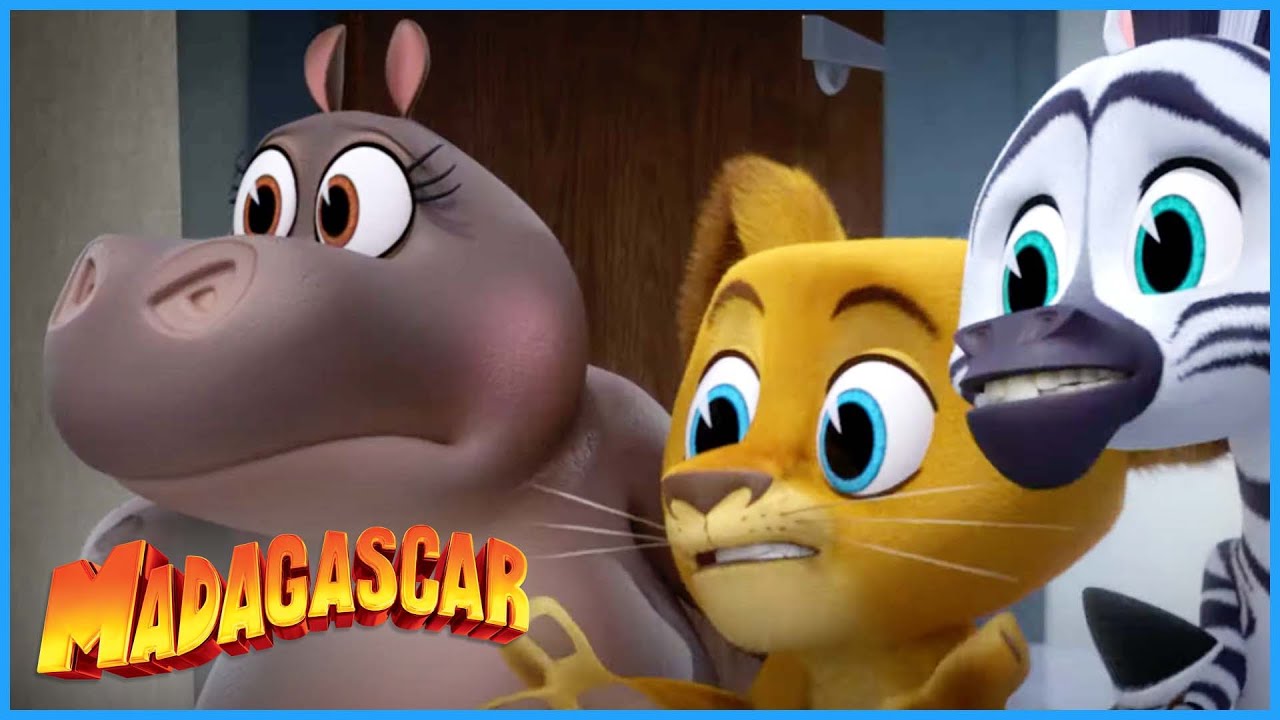Escape the police! | Madagascar: A Little Wild - YouTube