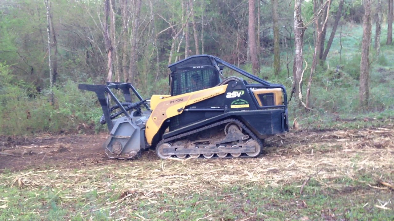 ASV PT 100 FORESTRY IN ACTION!! MY FARM. - YouTube