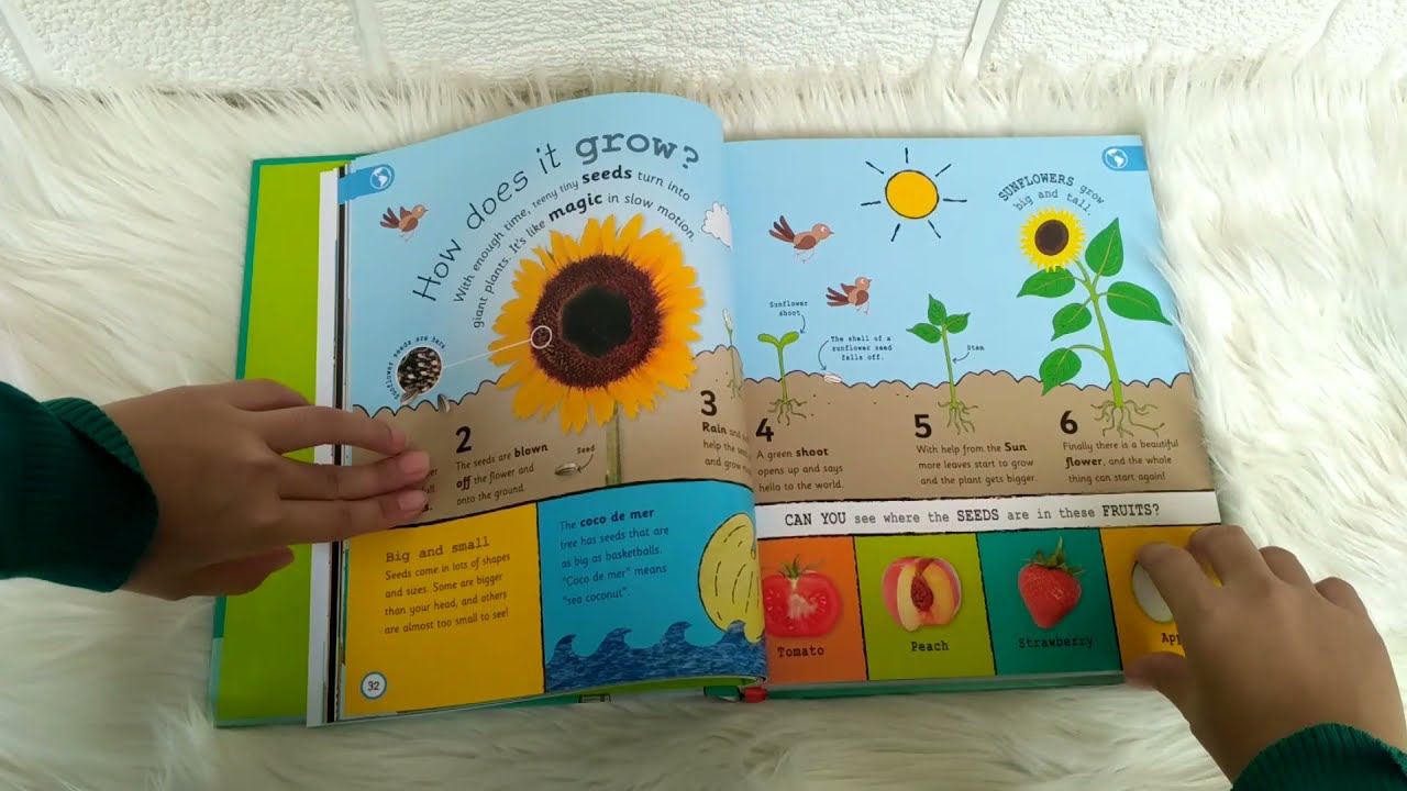 DK My Encyclopedia of Very Important Things - YouTube