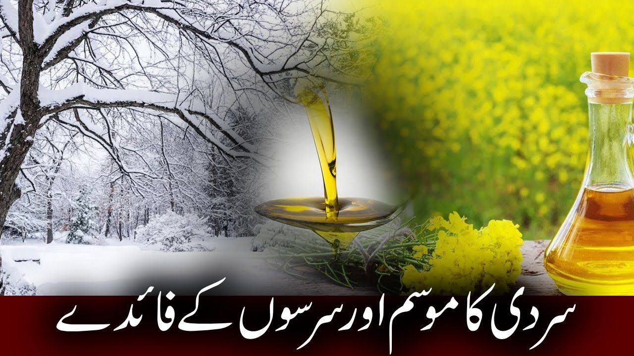 Sardi Ka Mosam Aur Sarso Ke Faide | Winter Season and Mustard Benefits ...