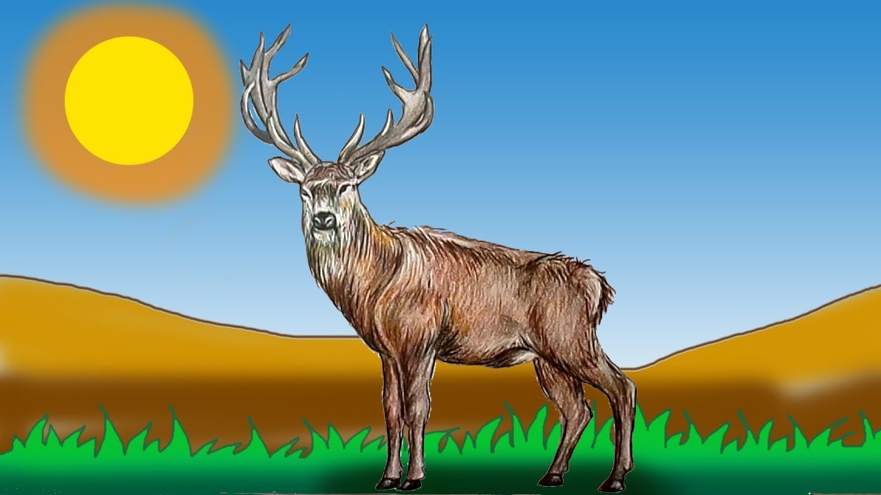 How to Draw a Realistic Deer Step by Step | How to do Pencil Shading ...