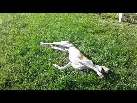 Oh.m.G. grass...
