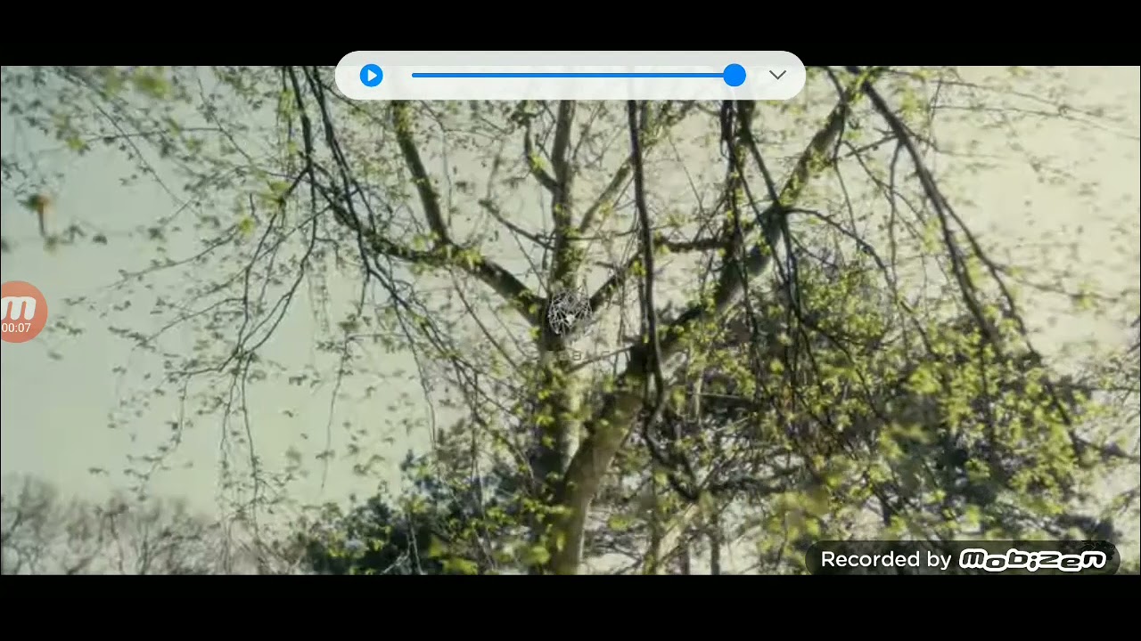 MARKO YT×BAKA PRASE-OBI(Official Music Video)6K - YouTube