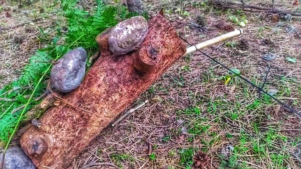 Figure four deadfall trap,with rotating trigger. - YouTube