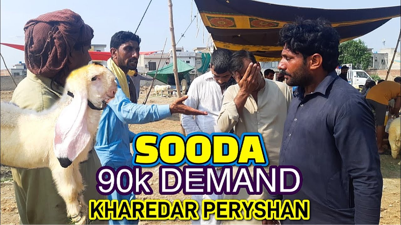 SOODA Full Video 90k Demand Kajla Chatra Lahore Bakra Mandi Pakistan ...