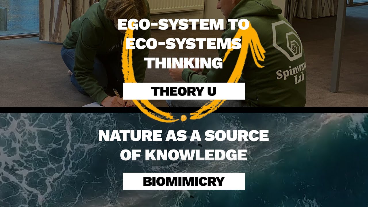 Project in beeld: Spinwaves Lab - YouTube