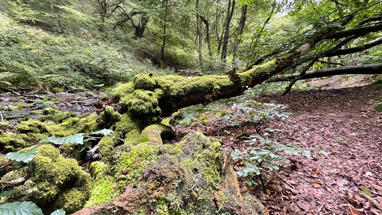 Walking around Abergavenny in the summer /nature walk in Welsh ancient ...