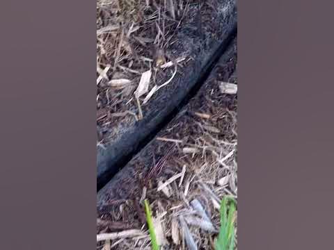 Easiest way to dig trench for direct bury - YouTube