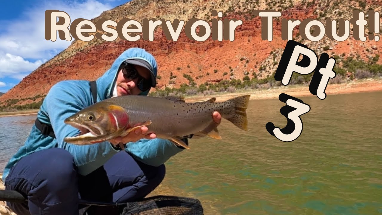 Saved The Biggest Fish For Last! - Reservoir Trout PT 3 - YouTube