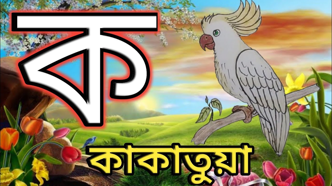 Bangla Banjonoborno | Bornoporichay | Bornomala #alphabet #bornomala ...