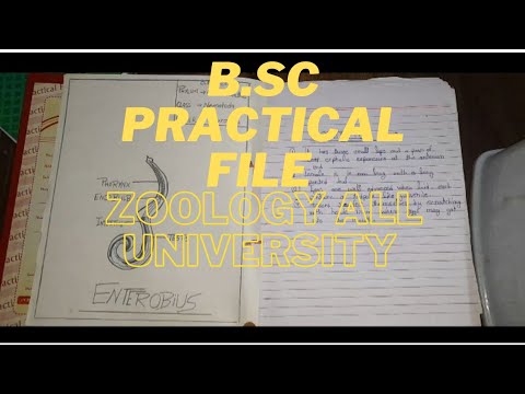 B.Sc 3rd Year Practical File 2023 || Zoology Practical File || Red ...