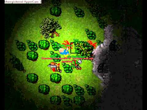 Original Tibia - YouTube