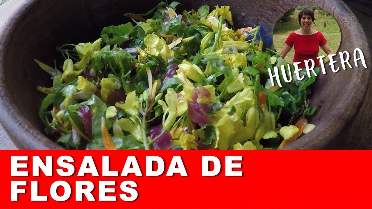 FLORES Comestibles?🌸Que flores se pueden comer? receta! - YouTube