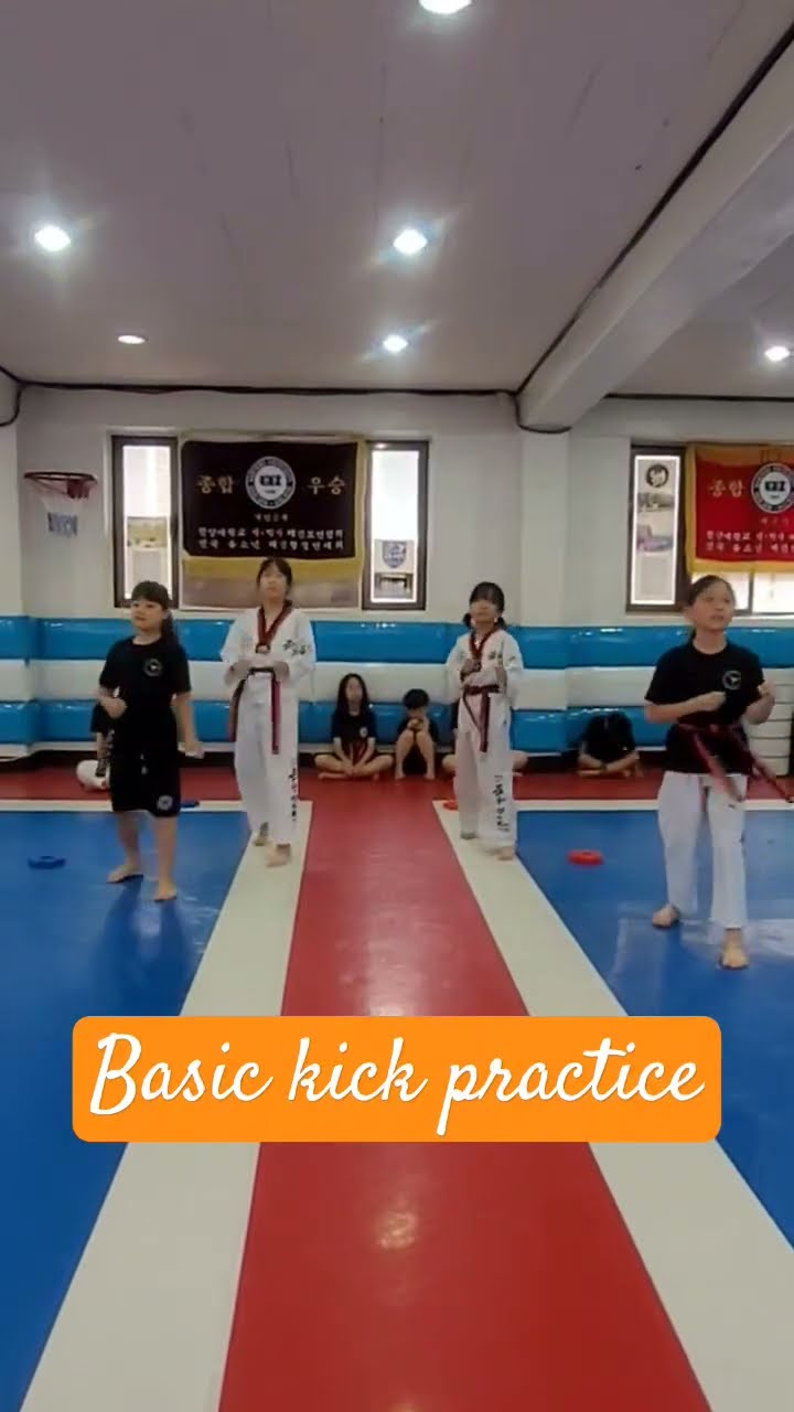 기본 발차기 연습(Basic kick practice) #shorts - YouTube