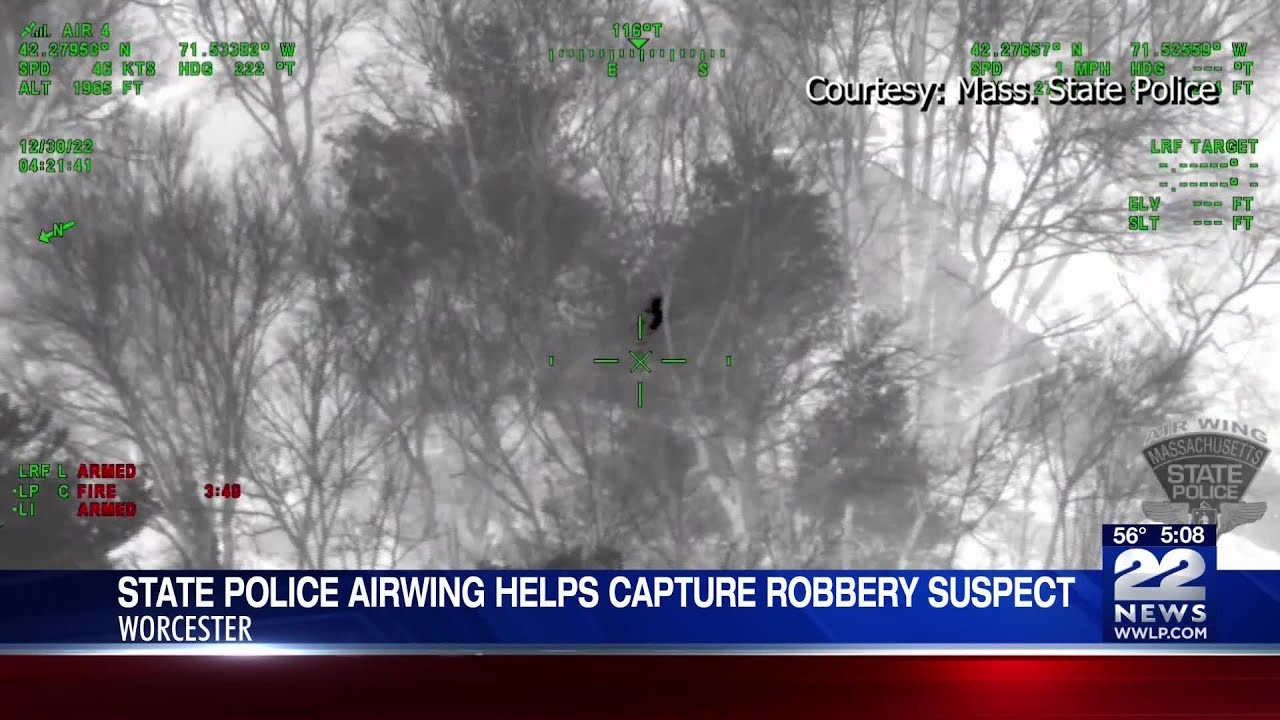VIDEO: Massachusetts robbery suspect found hiding in large tree - YouTube