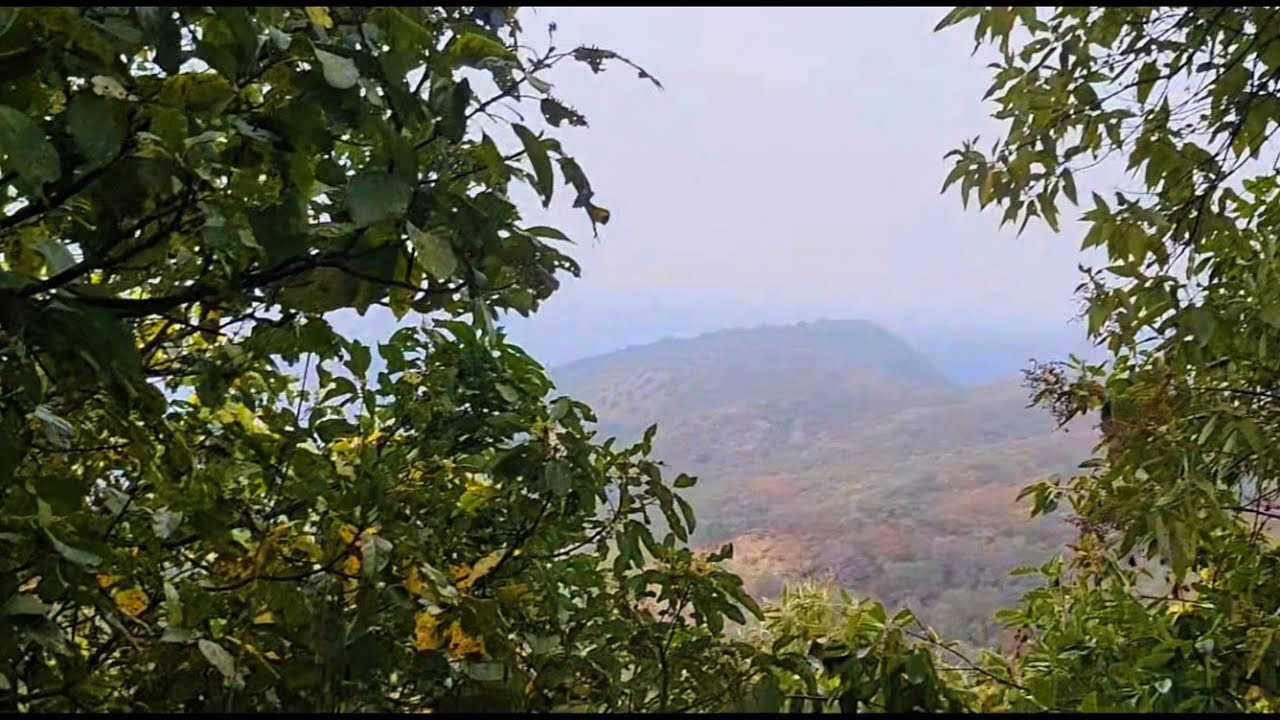 Visitamos un manantial en plena sierra conocido como el aguacatillo ...