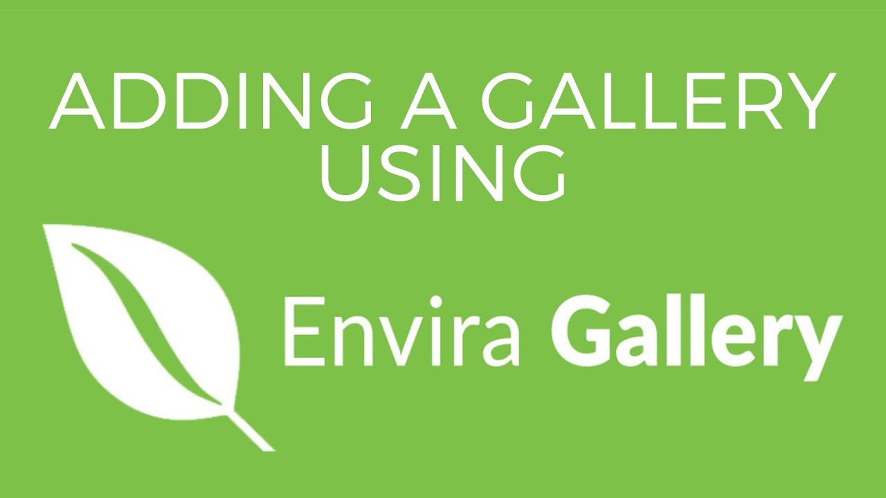 Adding a Gallery to Your Site with Envira Gallery (Featured Plugin ...