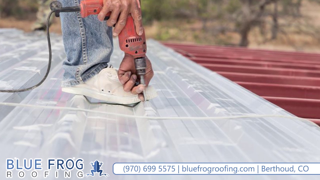 Blue Frog Roofing Limited | Home Services, Maintenance & Construction ...