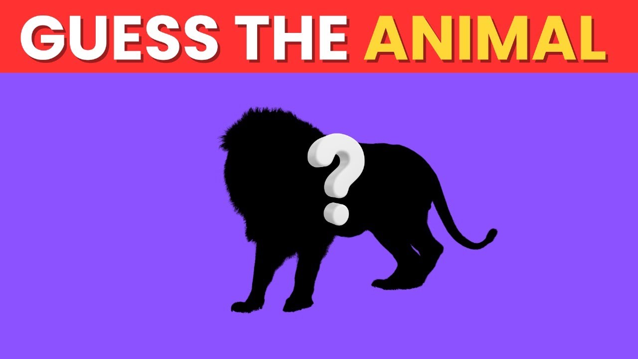 Only 1% Can Guess These Animal Shadows! 🐾💡 | Shadow Quiz Challenge ...