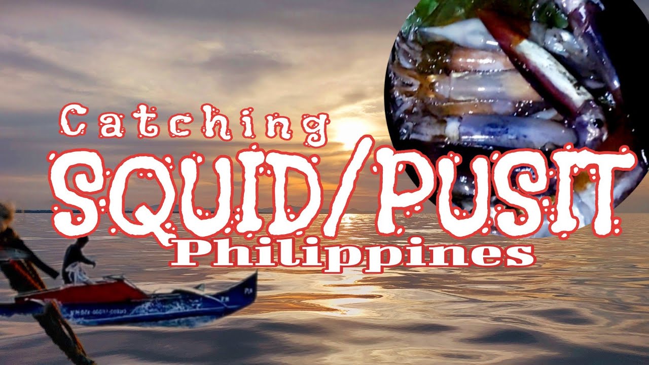 HOW TO CATCH SQUID OR NOKUS FISHING PHILIPPINES - YouTube