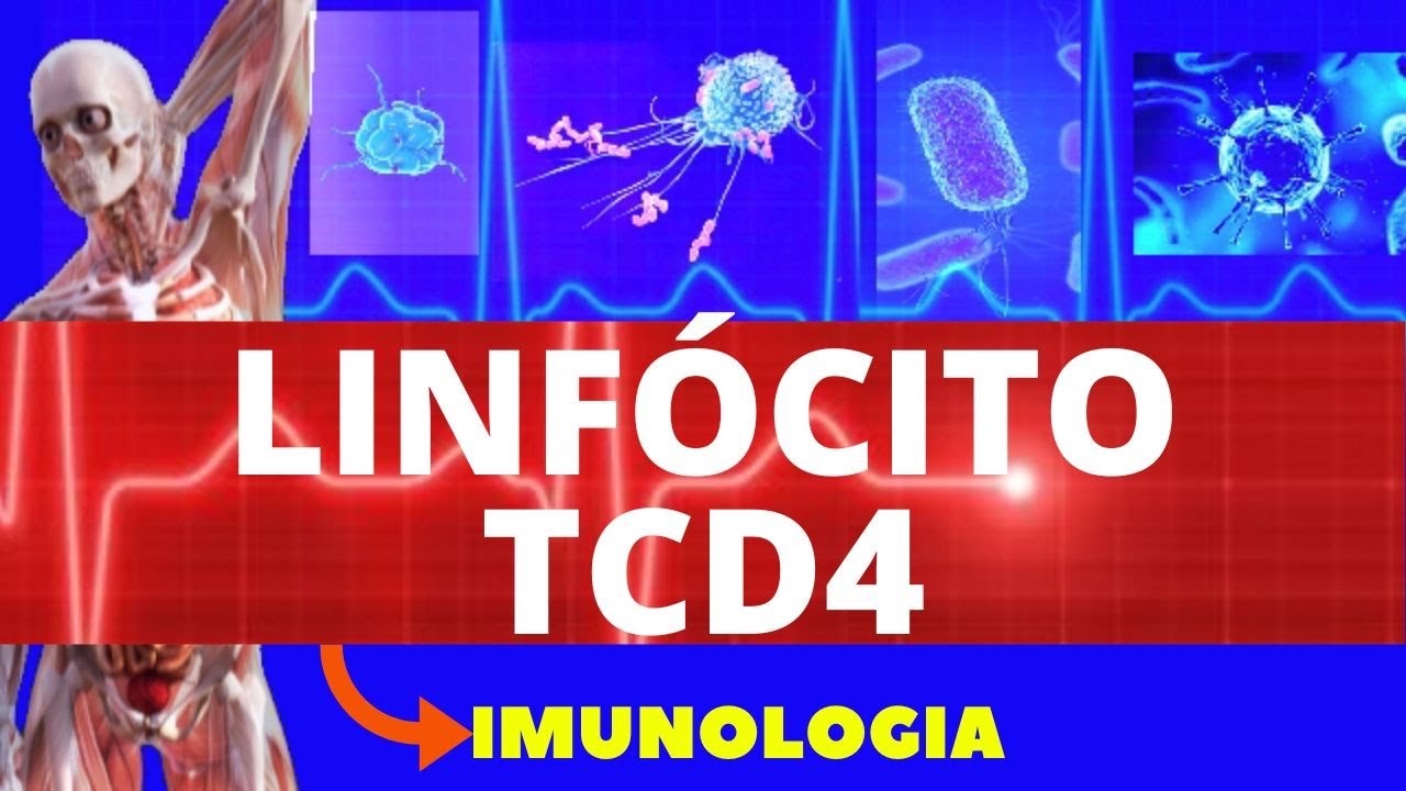 LINFÓCITO TCD4 (ENSINO SUPERIOR) - IMUNOLOGIA - SISTEMA IMUNOLÓGICO ...